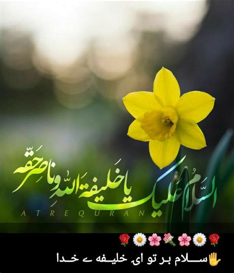 🥀السلام علیک یا اباصالح المهدی 🥀عج🥀 القدس درب الشهداء🇮🇷🇵🇸 عکس ویسگون