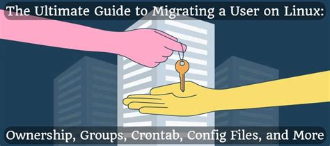 The Ultimate Guide To Migrating A User On Linux Ownership Groups