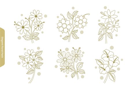 Elegant Aesthetic Outline Vector Set Graphic By Dhw Type · Creative Fabrica