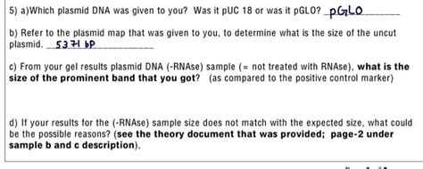 Solved 5 A Which Plasmid DNA Was Given To You Was It PUC Chegg Com