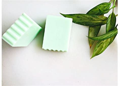 Eucalyptus Soap Manufacturer In Mumbai Maharashtra India By Mystique