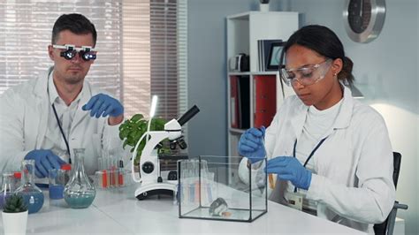 현대 화학 실험실에서 햄스터와 실험을 만드는 흑인 여성 연구 과학자 Stem 주제에 대한 스톡 사진 및 기타 이미지 Stem