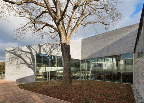 Library By Pascale Guédot Folds Around An Old Walnut Tree