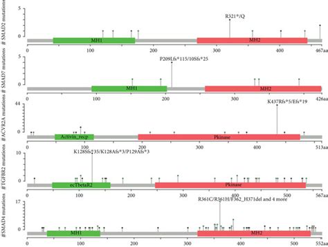 Genetic Alteration Differences Of Tgf β Signaling Regulators In Ec