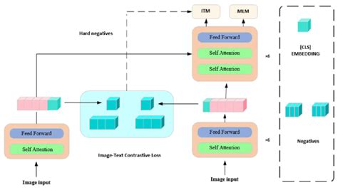 Illustration Of Albef It Consists Of An Image Encoder A Text Encoder