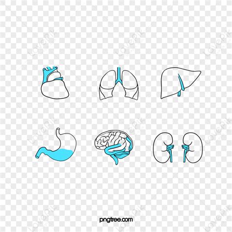 Flat Hand Drawn Illustration Style Medical Line Draft Icon Combinationstyle Iconsdrafts Png
