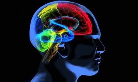 New AI Tool To Detect Gender Related Differences In Brain Structure