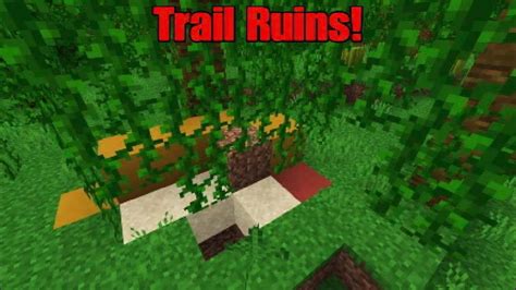 How To Find Trail Ruins In Minecraft Howto Tutorial Minecraft Youtube
