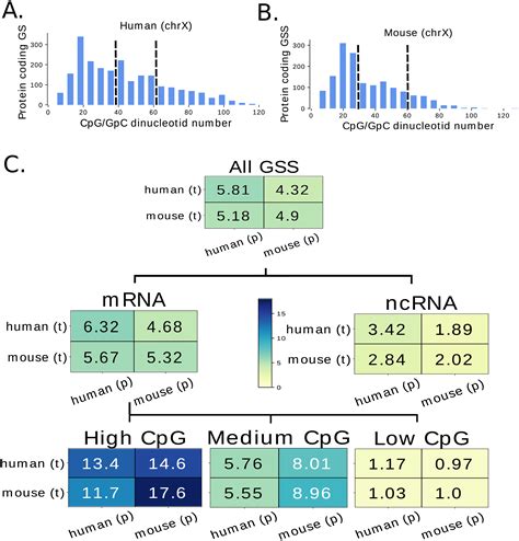 Genome Annotation Across Species Using Deep Convolutional Neural Networks Peerj