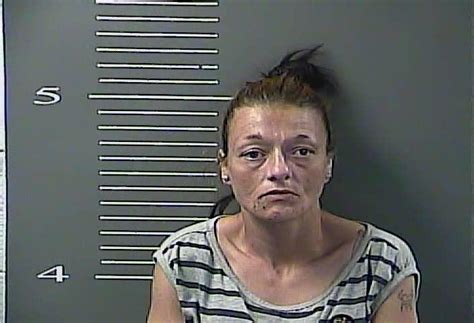 Shannon Turner Big Sandy Area Mugshots News