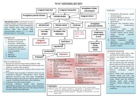 Woc Hiperbilirubin Pdf