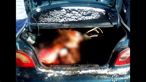 Нийт 40 удаагийн үйлдлээр иргэдэд 1 2 тэрбум төгрөгийн хохирол учруулсан малын хулгайн хэргийг