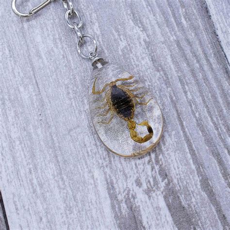 Bug Key Chains