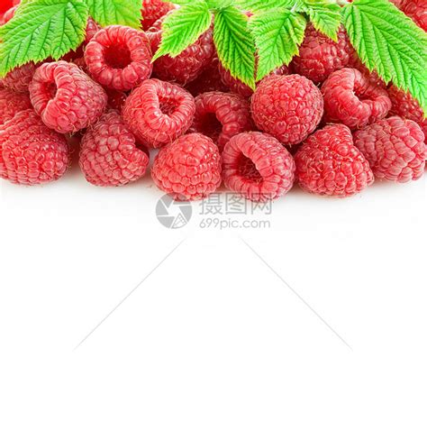 在白色背景上隔绝的叶子紧贴切片与高清图片下载 正版图片503283268 摄图网