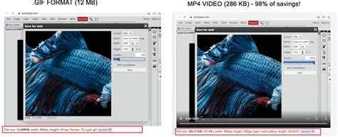 how to efficiently encode images on wordpress 6 best practices