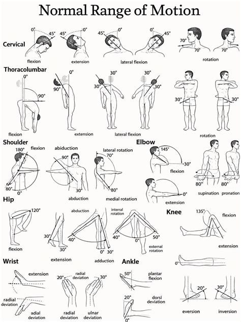 Joint Range Of Motion Measurements Flashcards Artofit