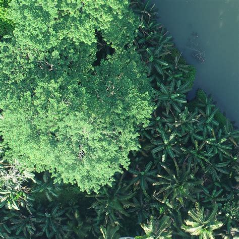 Object Detection Object Detection Dataset By DMPCS2