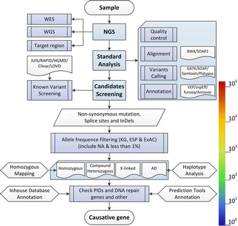 Pipeline Of NGS Based Gene Identification In PID The Bar Chat Download Scientific Diagram