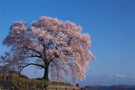 By Id Photohito