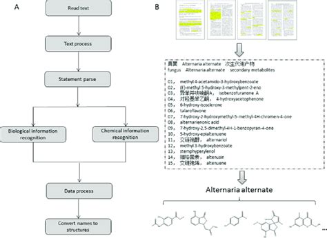 The Design Of The Text Mining System A Flow Process Of The Data Download Scientific Diagram
