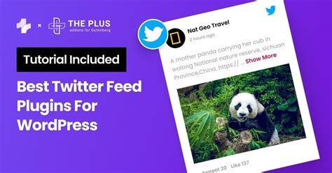 5 Best Twitter Feed Plugins For WordPress