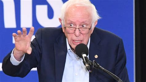 Bernie Sanders Rallies Harriswalz Crowds At Erie High School