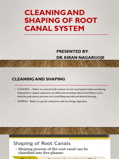 Cleaning And Shaping Of Root Canal System1 Pdf
