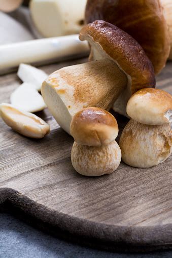 Boletus 새싹 Cepe 회색 콘크리트 배경에 씻어 Porcini 버섯 0명에 대한 스톡 사진 및 기타 이미지 0명