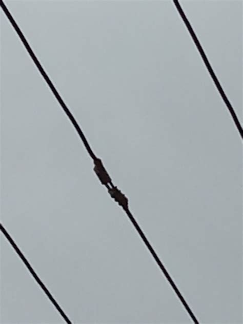 Dt Moi Noi Tt Object Detection Dataset By Bdpc Ai Gd2