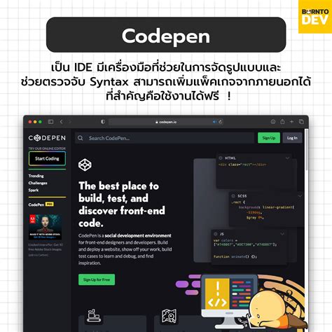 borntodev 💡 อยากเขียน html css และ javascript