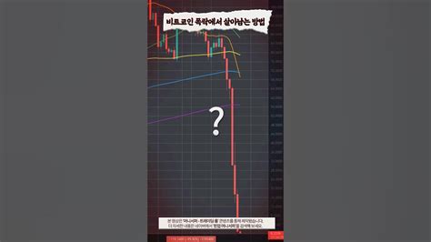 이거 모르고 코인투자 시작하면 어차피 망합니다 Youtube