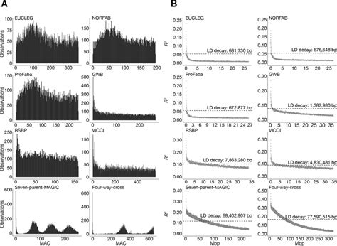 Genetic Structure Of Individual Panels A Folded Size Frequency