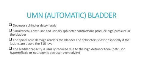 Various Types Of Bladder Dysfunctionpptx Brain And Nervous System