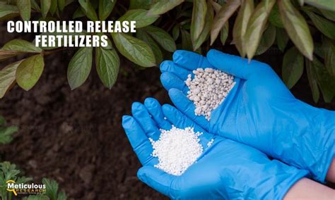 Revolutionizing Agriculture Controlled Release Fertilizers