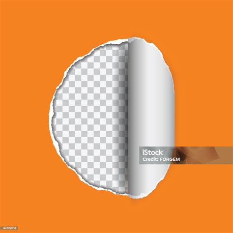 투명 한 배경 흰색 배경 텍스트 삽입에 적합에 고립 된 찢어진된 오렌지 종이의 벡터 일러스트 레이 션 잘려지거나 찢어진 종이에