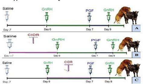 Figure 1 From Presynchronization With Cidr Improved The Efficiency Of