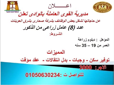 برواتب تبدأ من 3000 جنيه القوى العاملة فرص عمل للشباب في 4 شركات