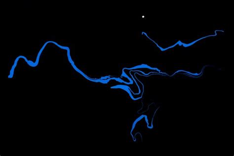 Gowanus Canal Pollution Abstract Photos Business Insider