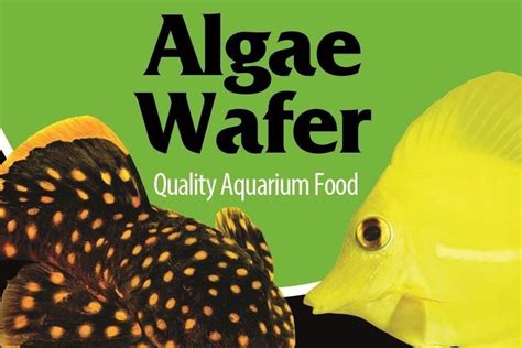 Algae Wafer 75g