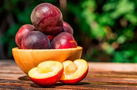 ᐈ Descubre los Increíbles Beneficios de la Ciruela para Tu Salud