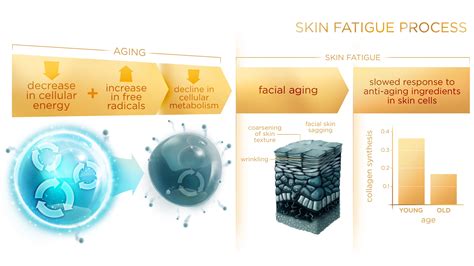 Infographics Data And Diagrams Bertholt Llc