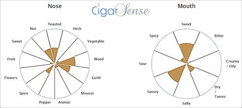 Cigar Recommendations • Cigar Sense