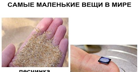Самые маленькие... | Пикабу