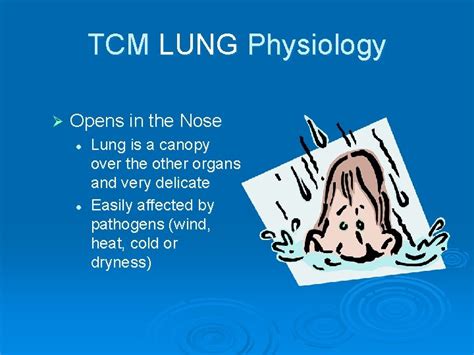 Tcm Lung Disease Lung Physiology Lung Pathology Cases