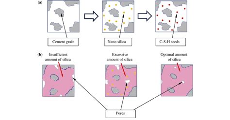 Schematic Diagram Of The Nucleation Effect Of Nano Silica On Uhpc A