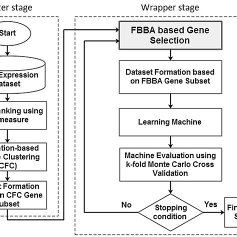 A Scheme Of The Proposed Cfc Fbba Method Download Scientific Diagram