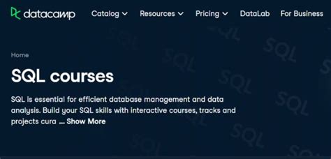 How To Practice SQL Best Platforms Rivery