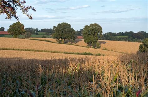 Join Our Webinar For Tenant Farmers The Farming Forum