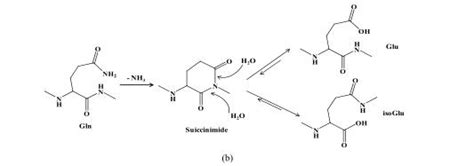 Structure Impurities In Synthetic Peptide Medicines Omizzur