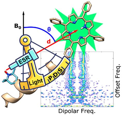 Orientation Selective And Frequency Correlated Light Induced Pulsed Dipolar Spectroscopy